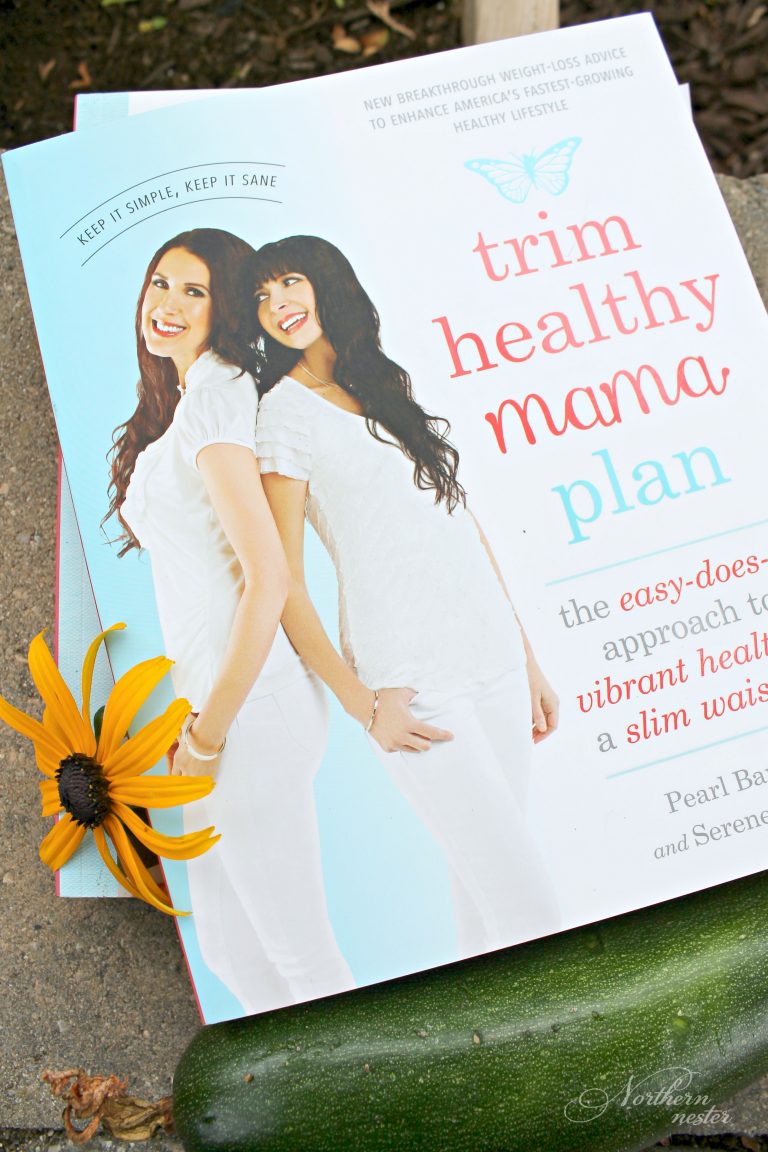How to Get Started on Trim Healthy Mama! [QUICK START, TIPS] - Northern ...