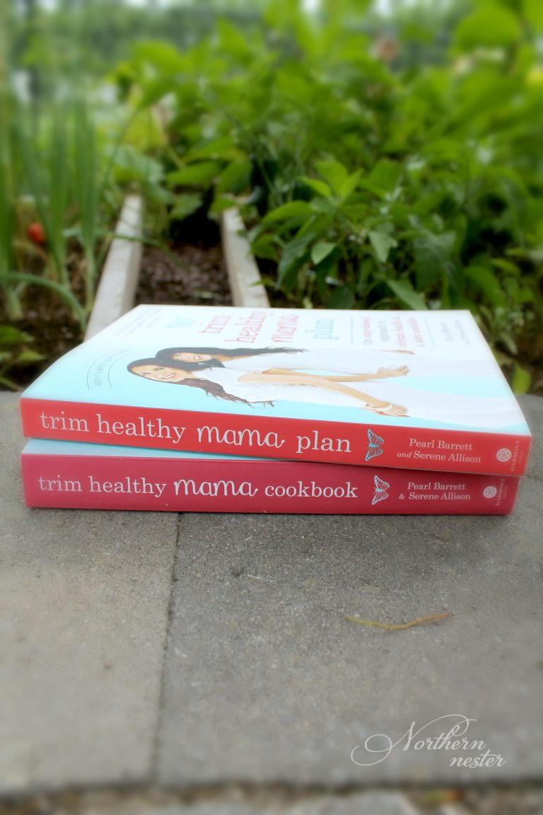 How to Get Started on Trim Healthy Mama! [QUICK START, TIPS] - Northern ...