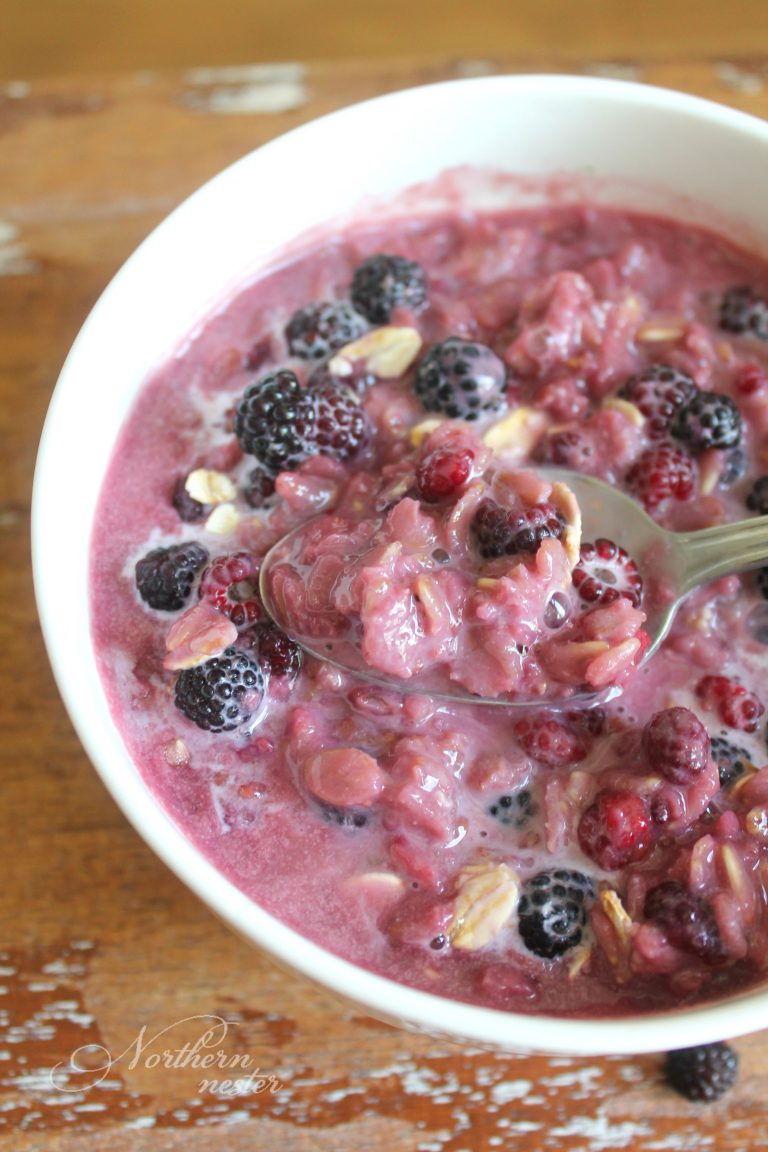 Field Berry Oatmeal | THM: E - Northern Nester