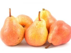 10 Popular And Common Types of Pears - Complete Guide 2023 - Northern ...