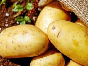 Types of Potatoes - Common and Popular Potatoes - Northern Nester