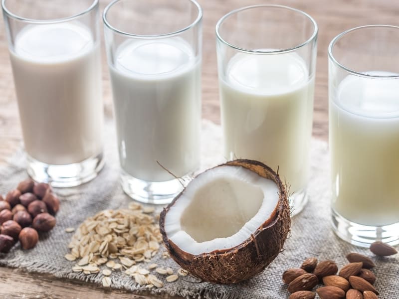 18 Types of Milk - Popular List and Guide 2023 - Northern Nester 18 Types of Milk - Popular List and Guide 2023 - Northern Nester