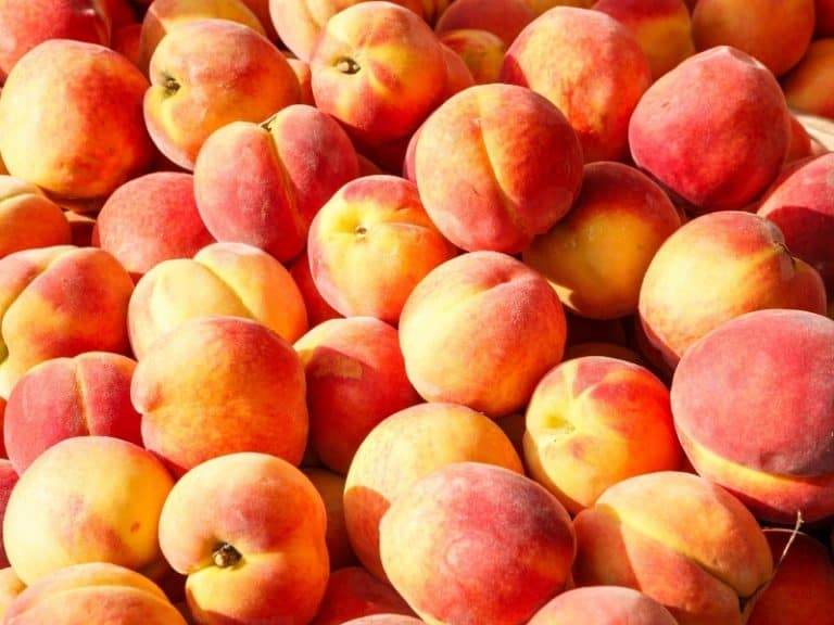 How to Store Peaches – Keeping Your Fruit Fresh! - Northern Nester