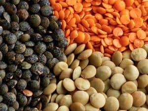 Types of Lentils - Complete List and Guide - Northern Nester