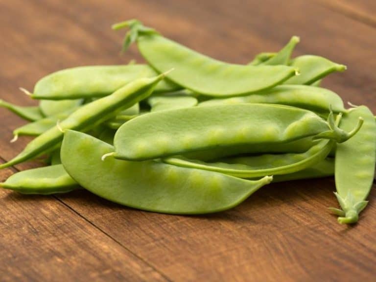 When to Plant Snow Peas - Planting Guide 2024 - Northern Nester
