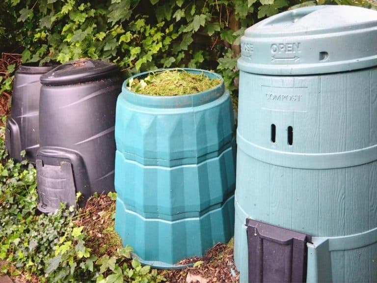Is It Safe To Compost In Plastic? Garden Tips 2024 - Northern Nester