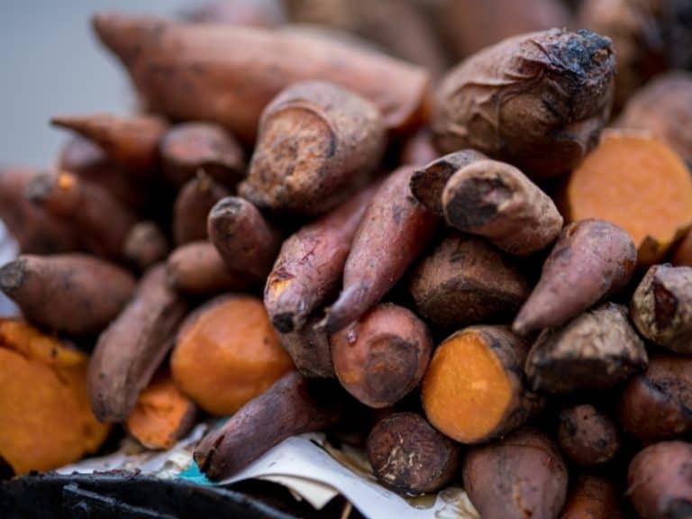 How to Tell If Sweet Potato Is Bad: Signs to Look Out For - Northern Nester
